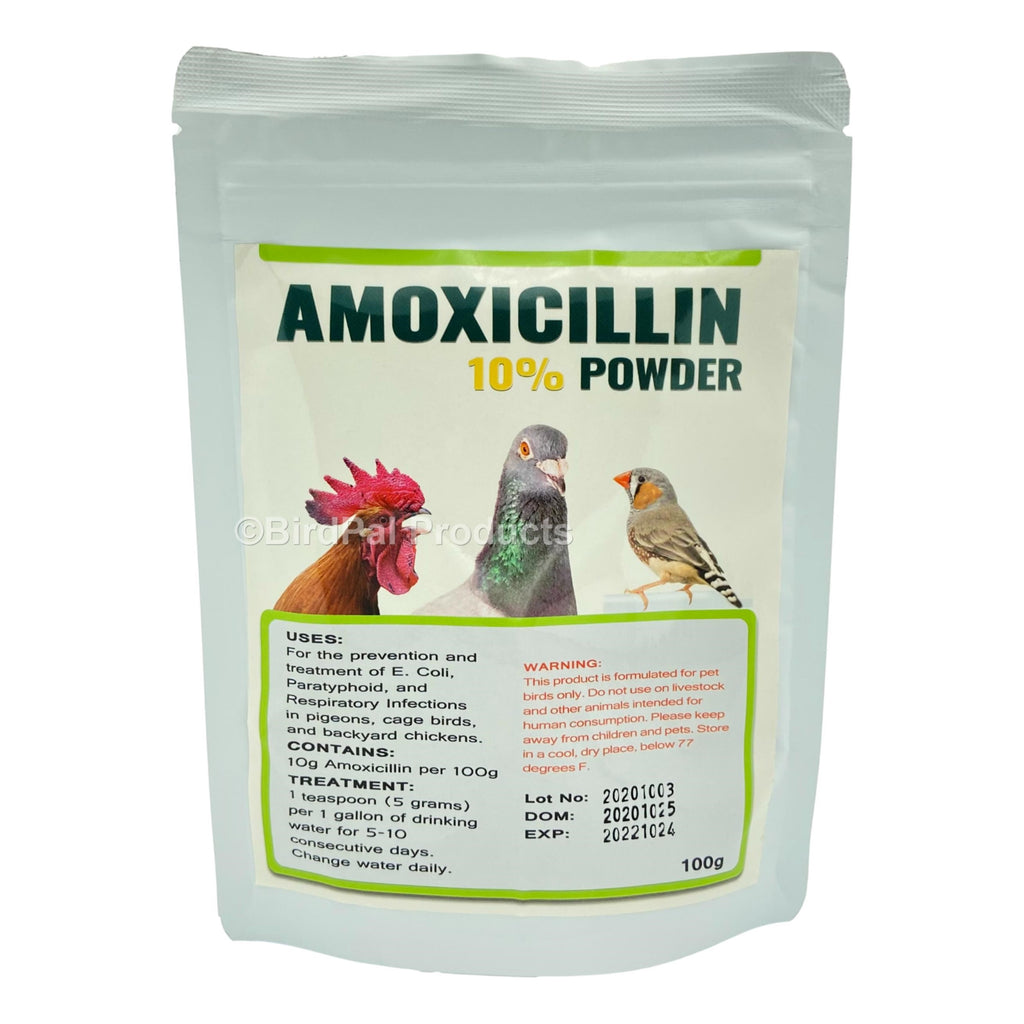Amoxicillin 10% Powder for Birds - Performance Pigeon Feed and Supplies