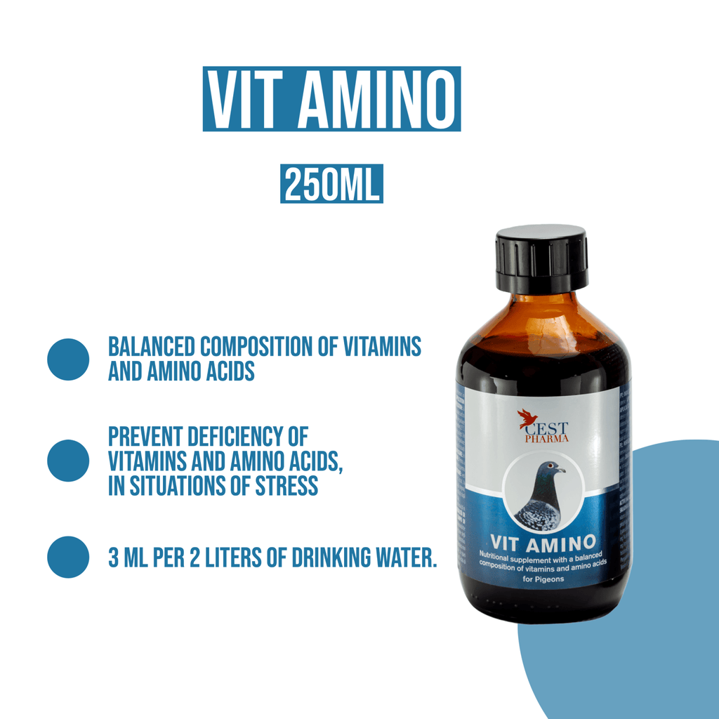 Cest Vit Amino - Vitamins & Amino Acids for Pigeons - Performance ...