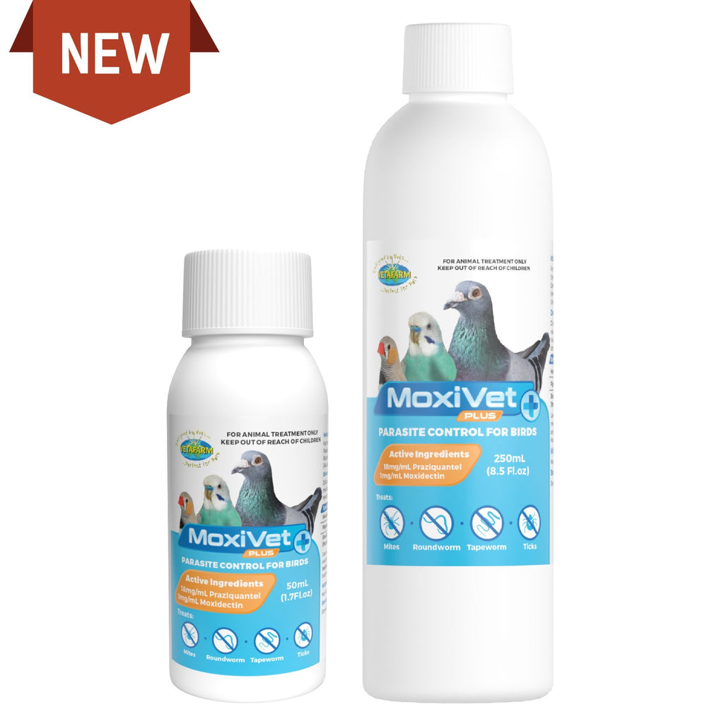 MoxiVet Plus - Moxidectin + Praziquantel Parasite Control for Birds ...