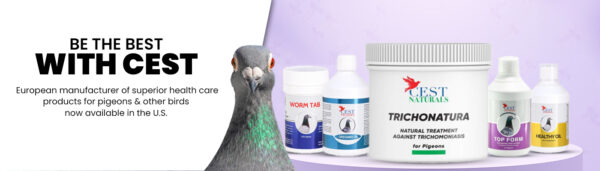 Cest Pharma Archives - Performance Pigeon Feed and Supplies