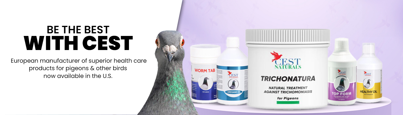 Cest Pharma Archives - Performance Pigeon Feed and Supplies