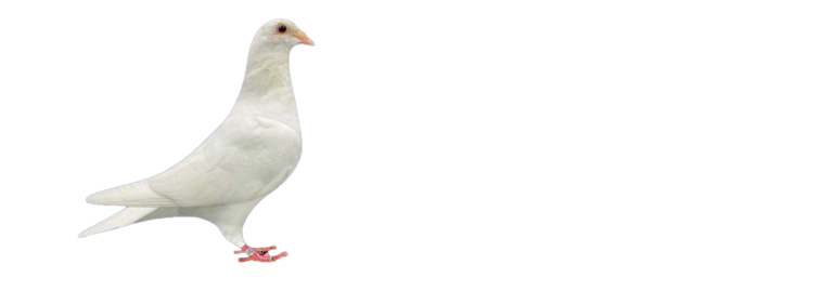 DR. PIGEON`S ULTIMATE ELIXER - 32 OZ - Performance Pigeon Feed and Supplies