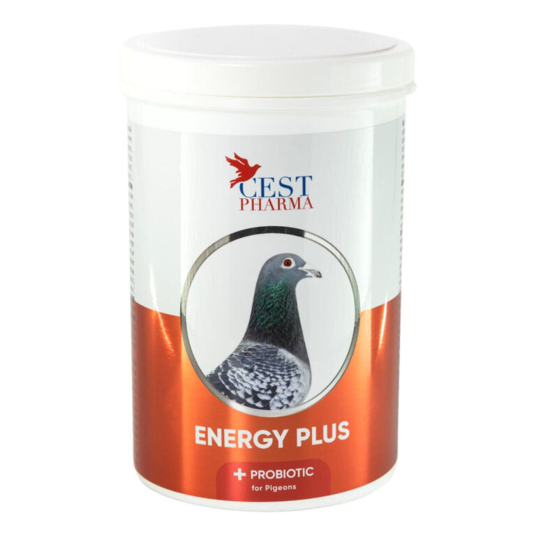 Cest Pharma Archives - Performance Pigeon Feed and Supplies