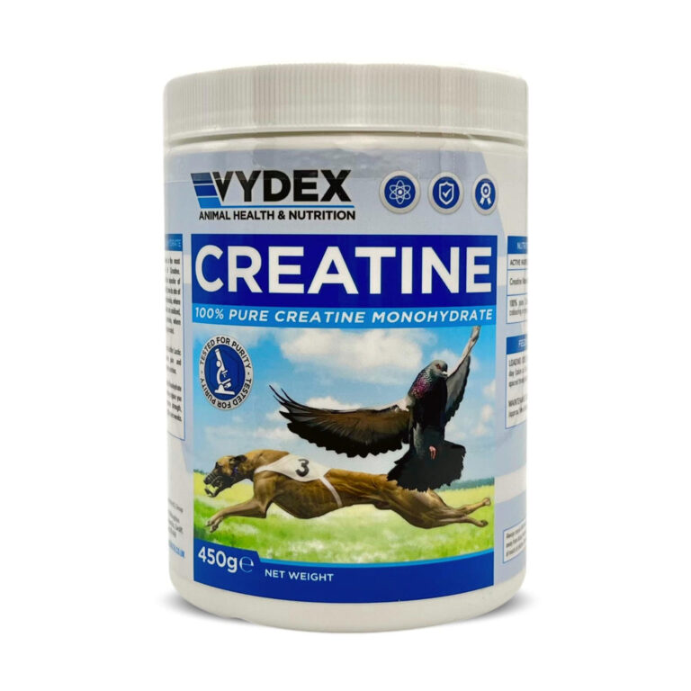 VYDEX Creatine Monohydrate for Muscle Strength, Power & Stamina ...