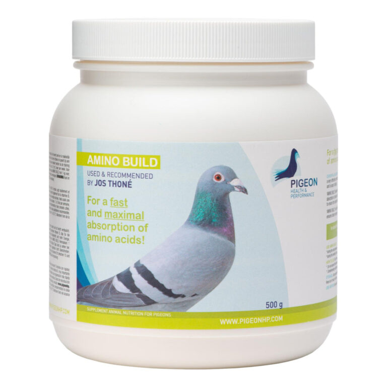 Pigeon Health & Performance Archives - Performance Pigeon Feed and Supplies