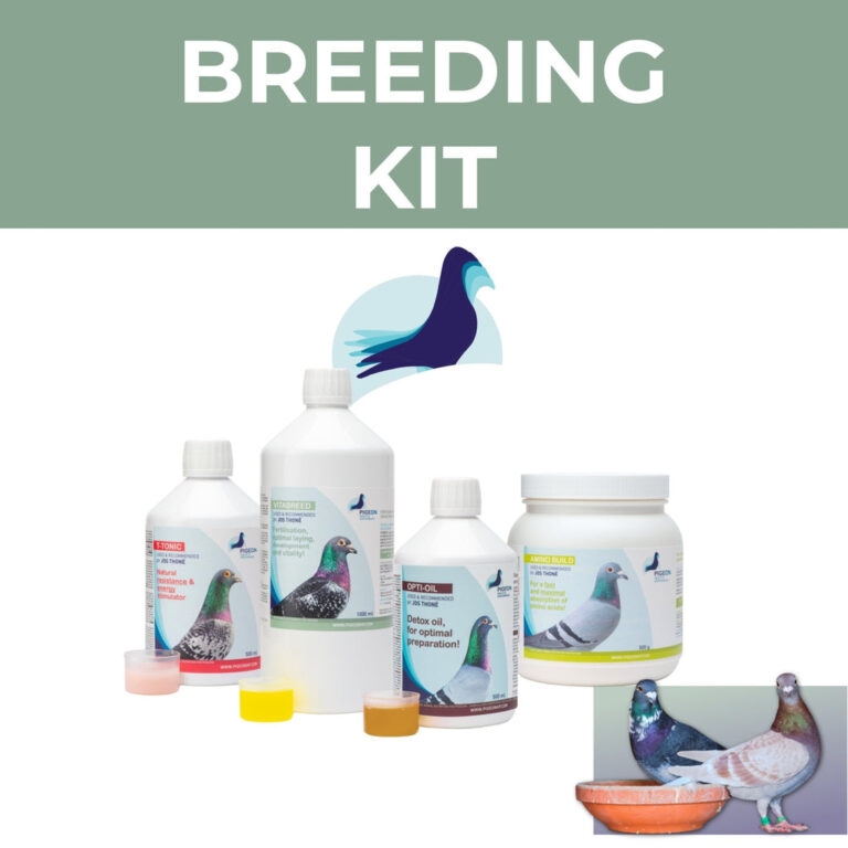 Welcome to Our Home Page - Performance Pigeon Feed and Supplies