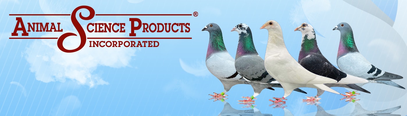 Animal Science Products Archives - Performance Pigeon Feed and Supplies